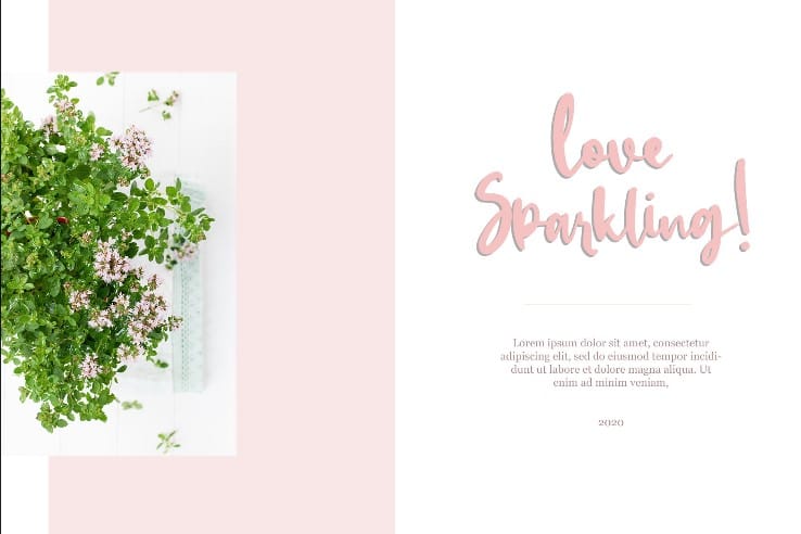 Hachiko – Handwritten Font – DM Letter Studio